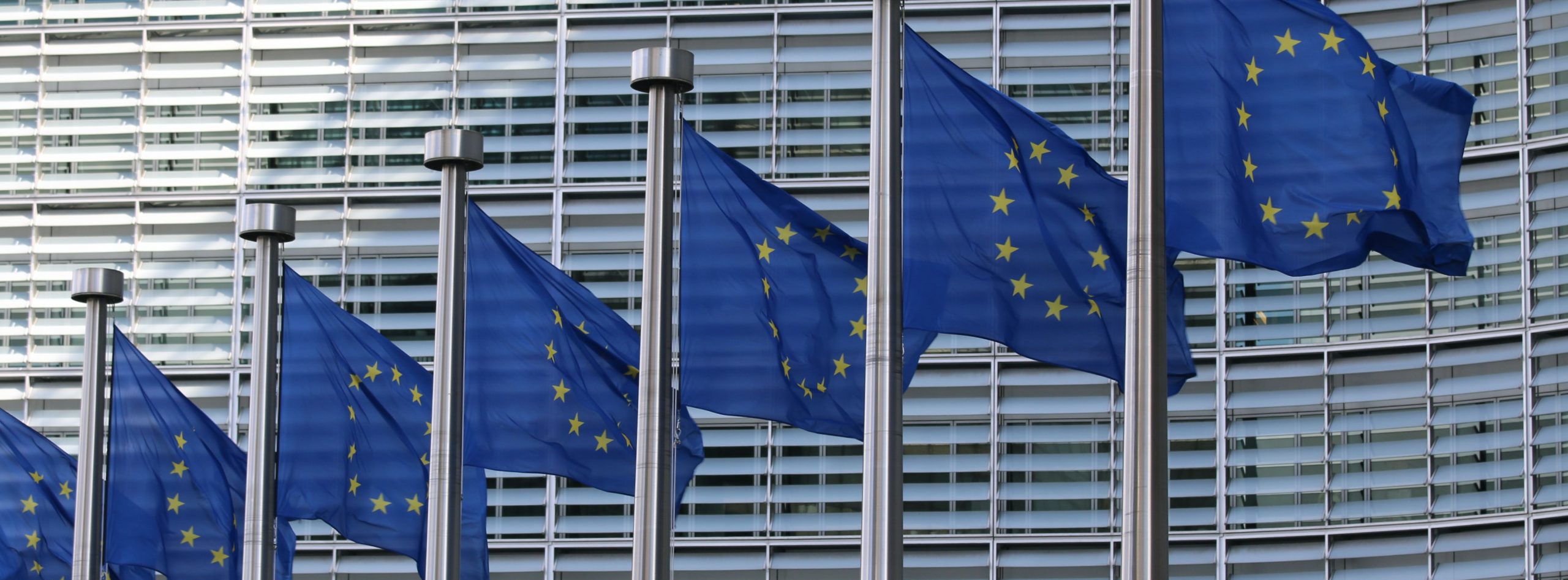 EU Policy Paper: Public Transport Sector Priorities for the Legislative ...